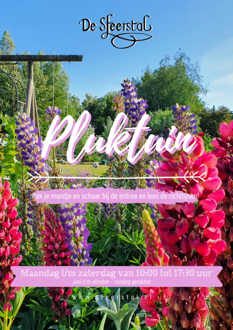 Bloemen Pluktuin | de Sfeerstal